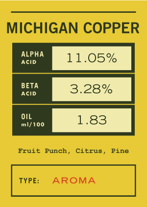 2023 Michigan Copper™ (T-90 Pellets) Spot Hops - Selection Grade ...